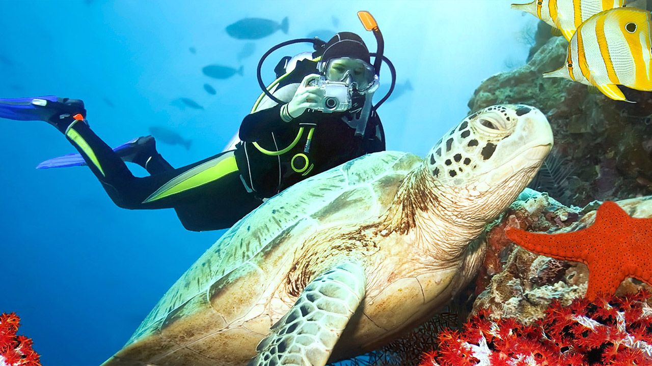 Adventures - Faliraki Tours | Sailing Yacht, Scuba Diving, Boat rentals